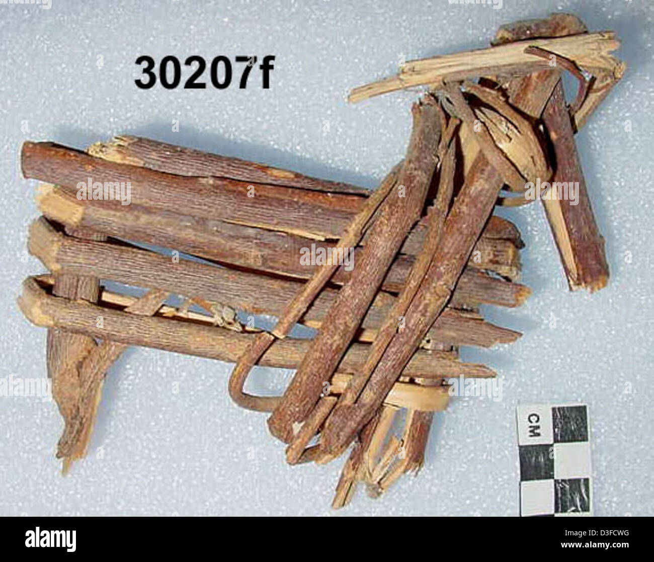 A split-twig figurine, a prehistoric artifact, was discovered in the ...