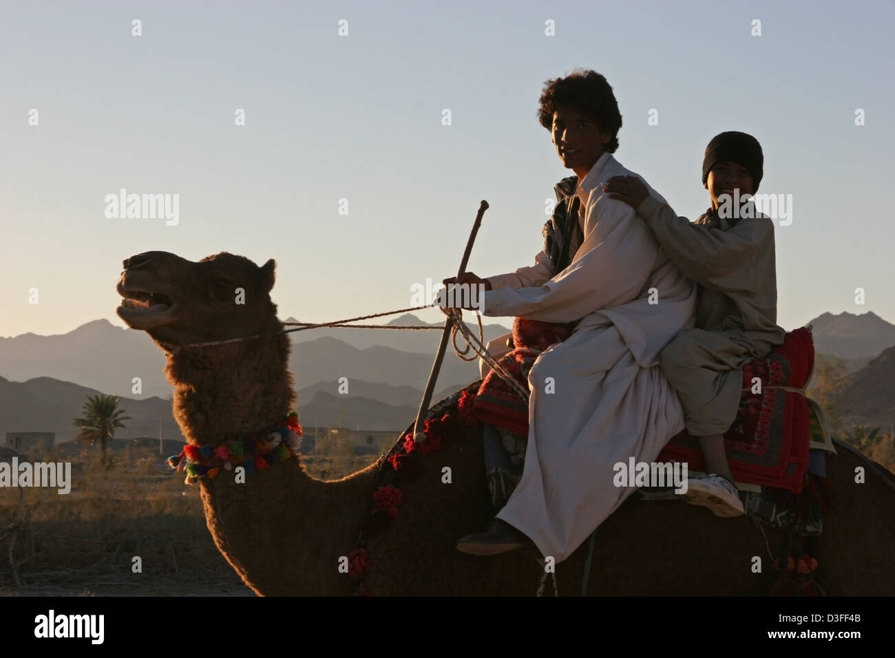 camel riders Iran sunset Stock Photo - Alamy