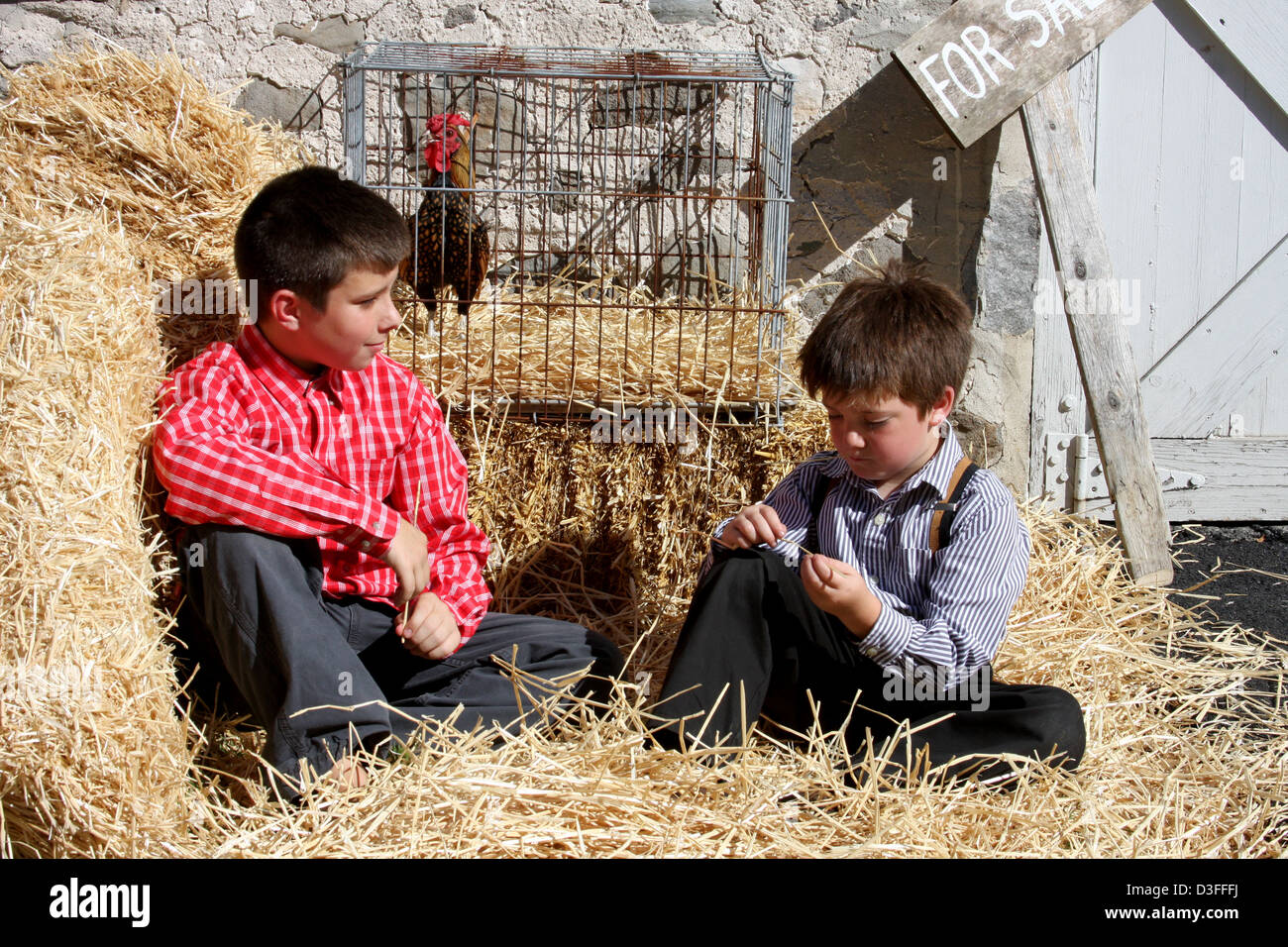Two young boys with a rooster for sale next to a stone wall barn Stock ...