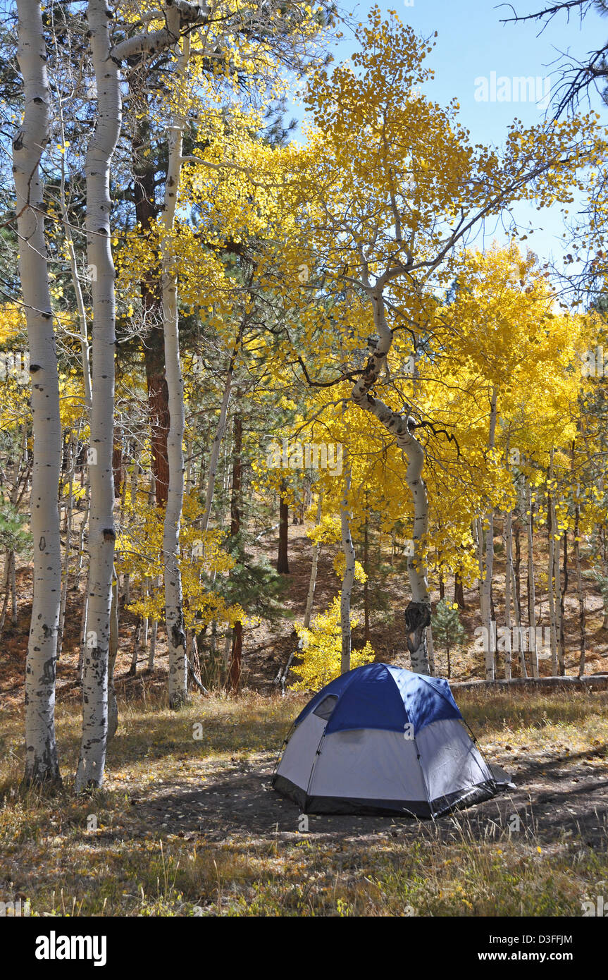 The North Rim Campground in Grand Canyon National Park provides a ...