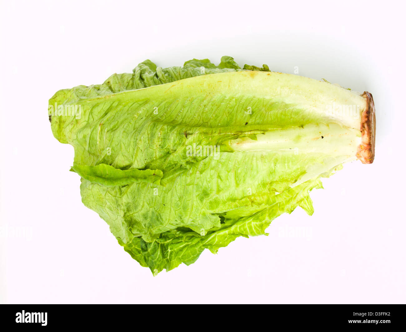 Fresh cos salad isolated on white background Stock Photo - Alamy