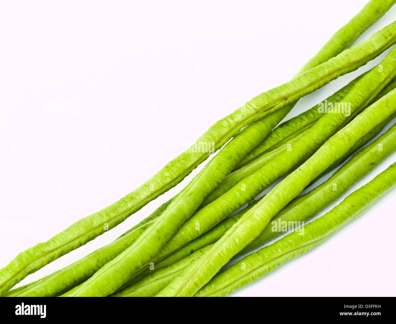 Vigna unguiculata hi-res stock photography and images - Alamy