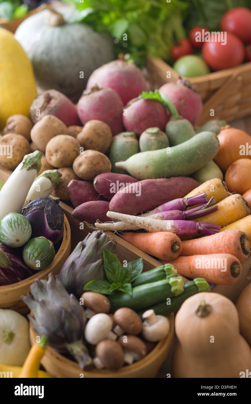 Assorted Multicolored Vegetable Stock Photo - Alamy