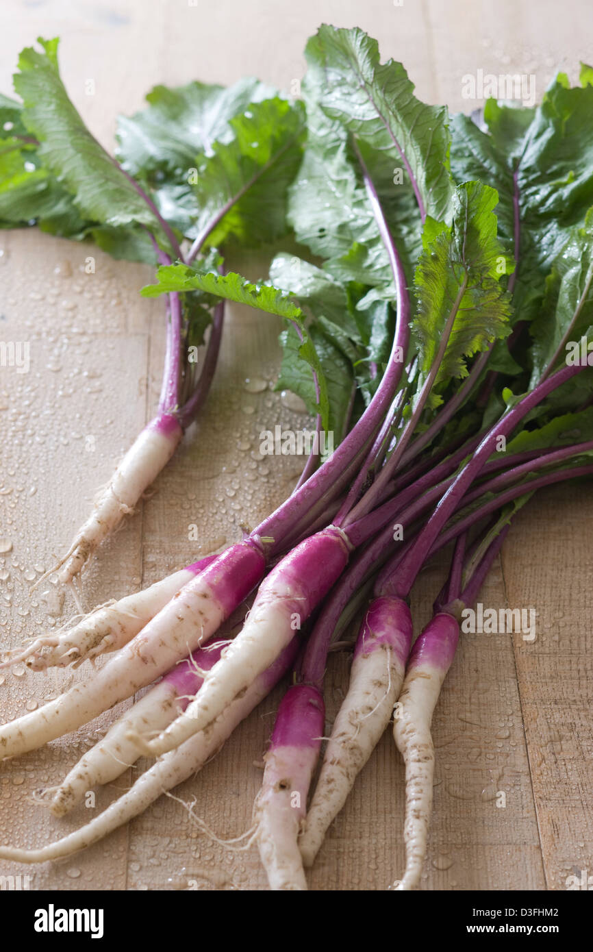 Kabu kabu hi-res stock photography and images - Alamy