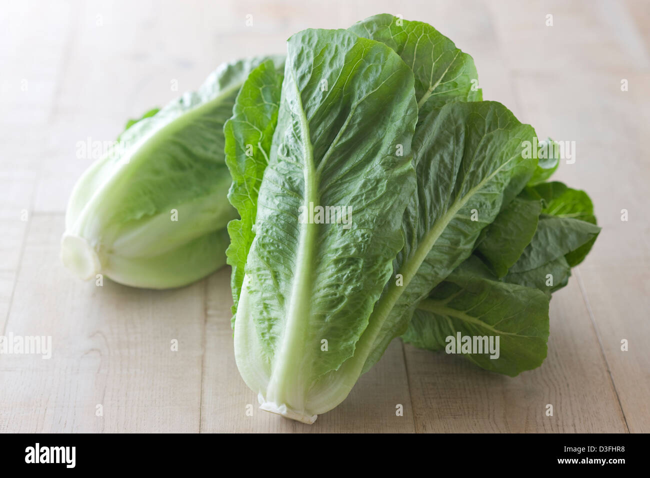 Romaine lettuce hi-res stock photography and images - Alamy