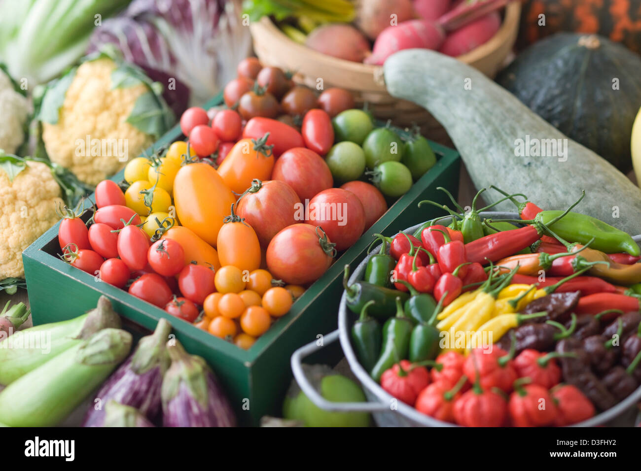 Assorted Multicolored Vegetable Stock Photo - Alamy