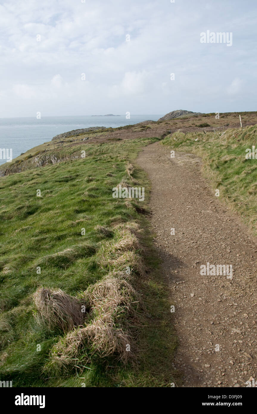 The Welsh Coastal Path near Whitesands in Pembrokeshire Stock Photo - Alamy
