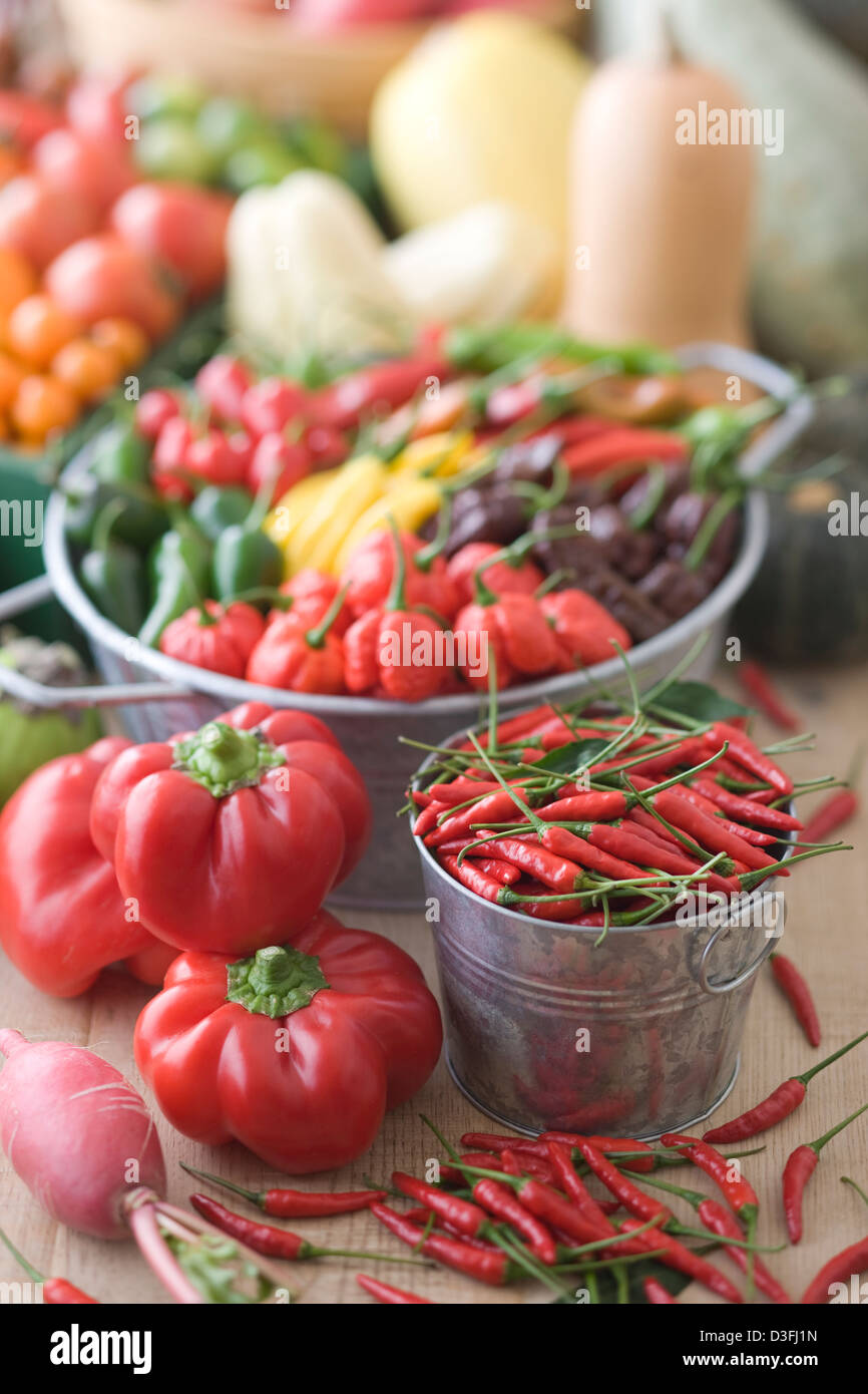 Assorted Multicolored Vegetable Stock Photo - Alamy