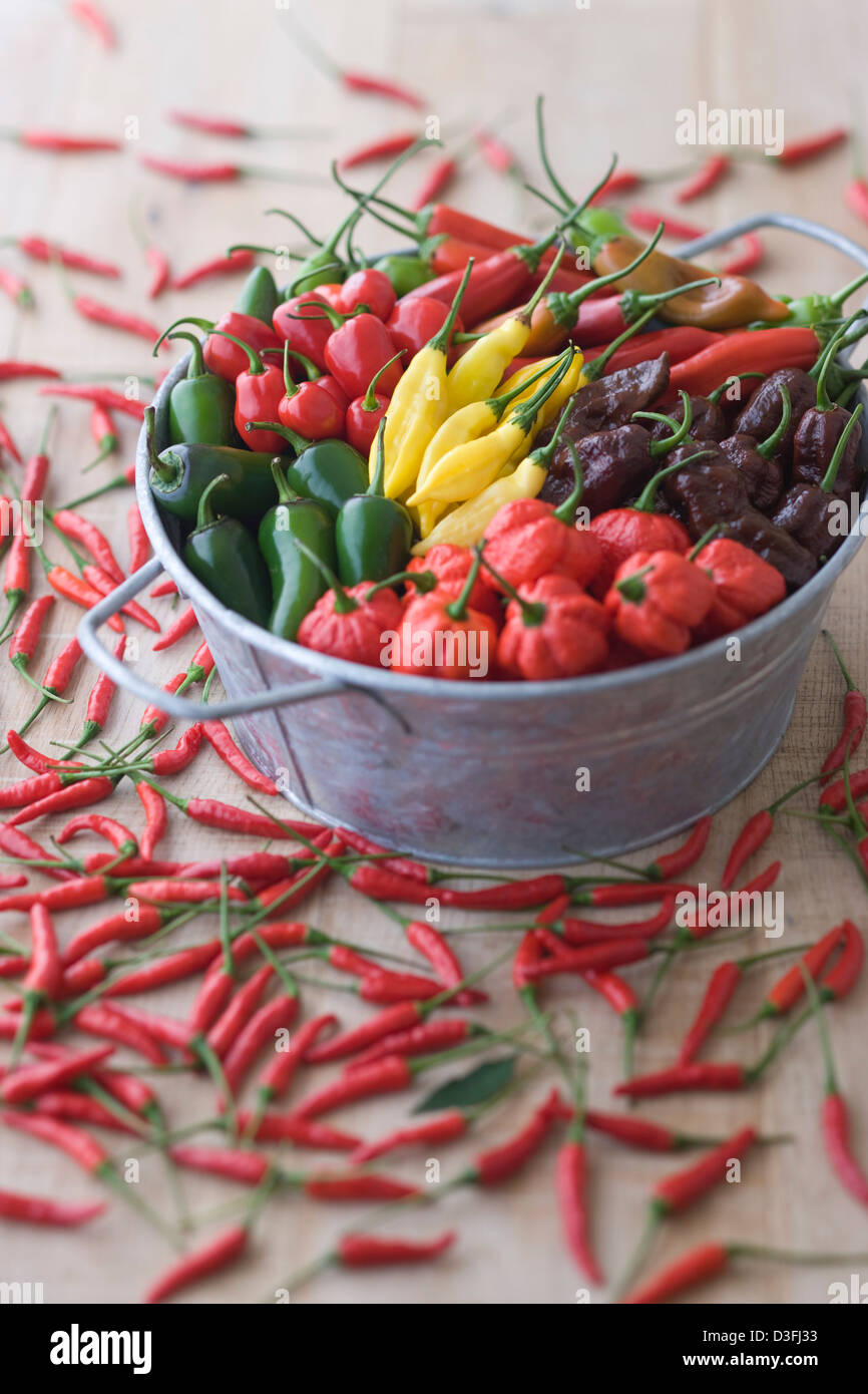 Red green chili in bucket hi-res stock photography and images - Alamy