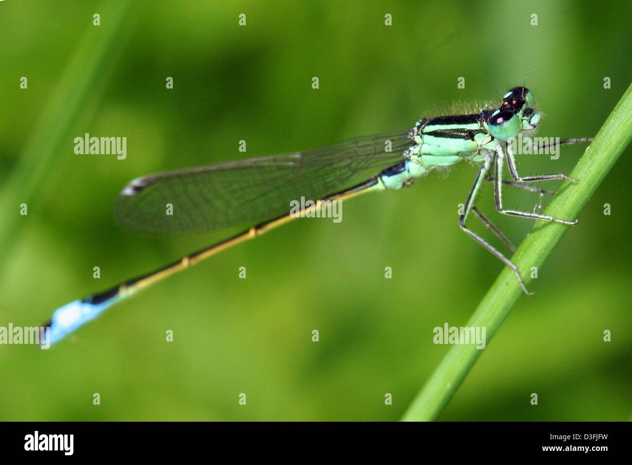 Float in the air hi-res stock photography and images - Alamy