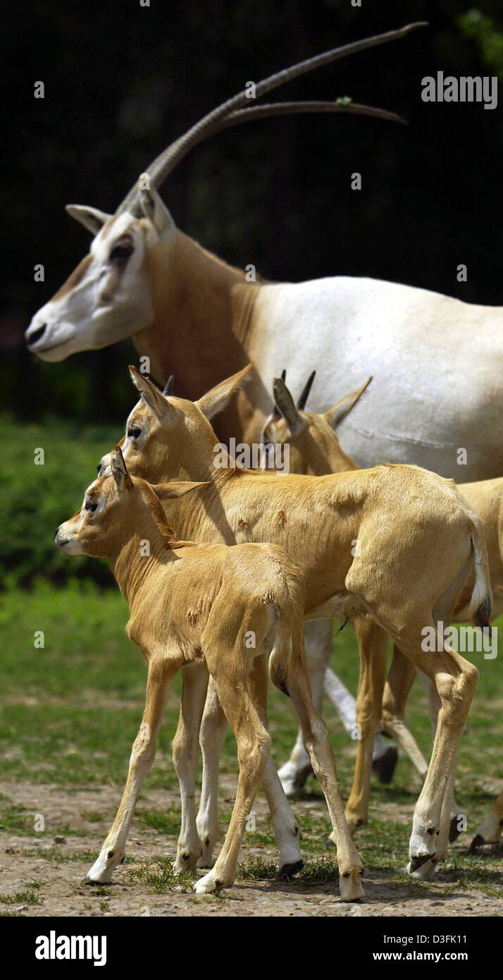From youngest to oldest hi-res stock photography and images - Alamy
