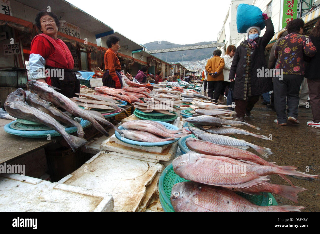 (dpa) - Fresh fish are for sale at the fish market in Busan, South ...