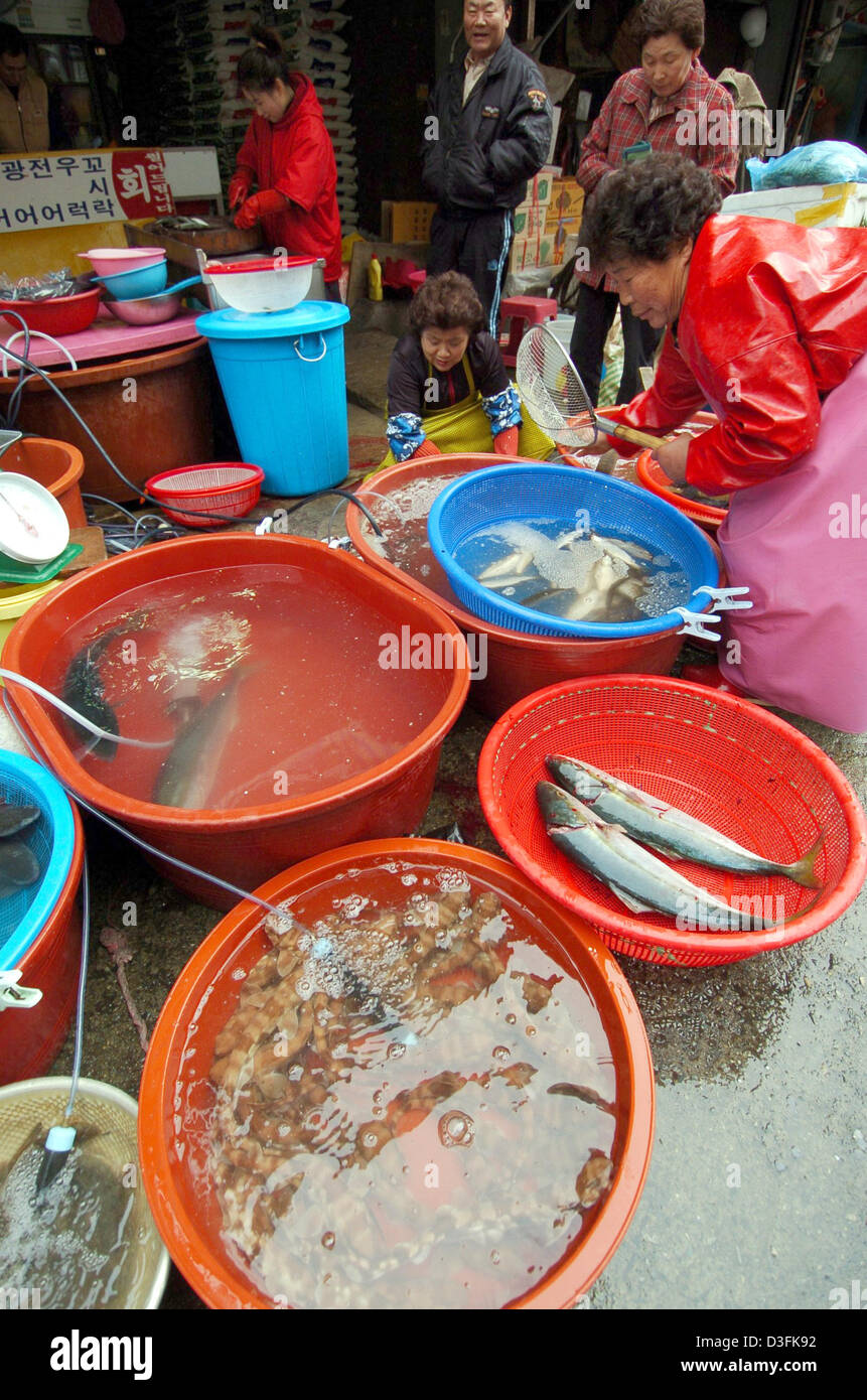 Different sorts fresh fish hi-res stock photography and images - Alamy