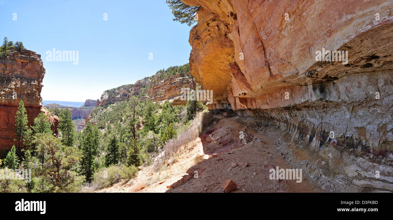 Cliff Springs, located on the North Rim of the Grand Canyon, is a ...