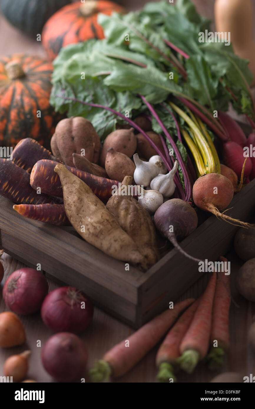 Assorted Multicolored Vegetable with Mud Stock Photo - Alamy