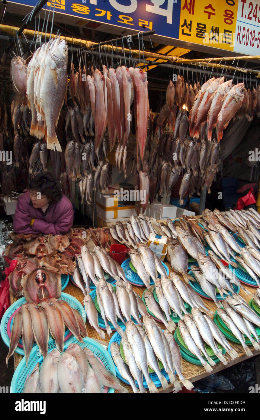 (dpa) - A variety of fish are for sale at the fish market in Busan ...