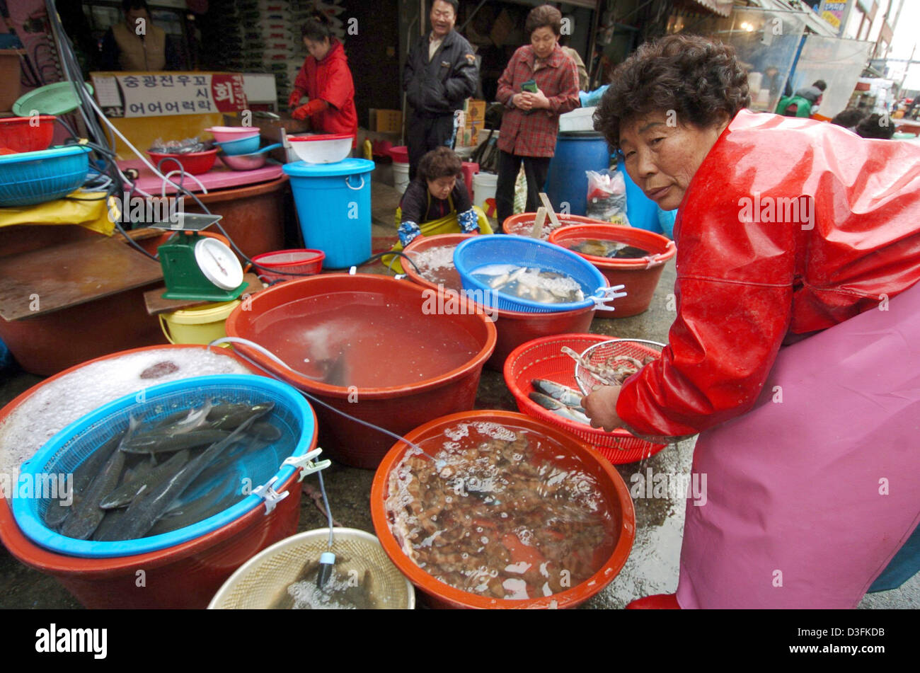 (dpa) - A fishmonger sorts her fresh fish into different plastic tubs ...