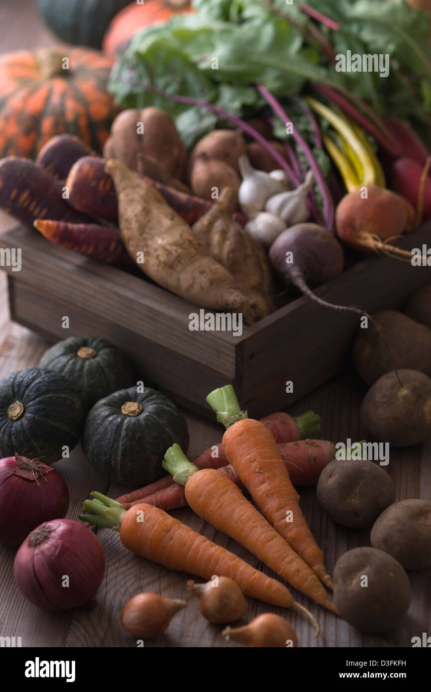 Assorted Multicolored Vegetable with Mud Stock Photo - Alamy