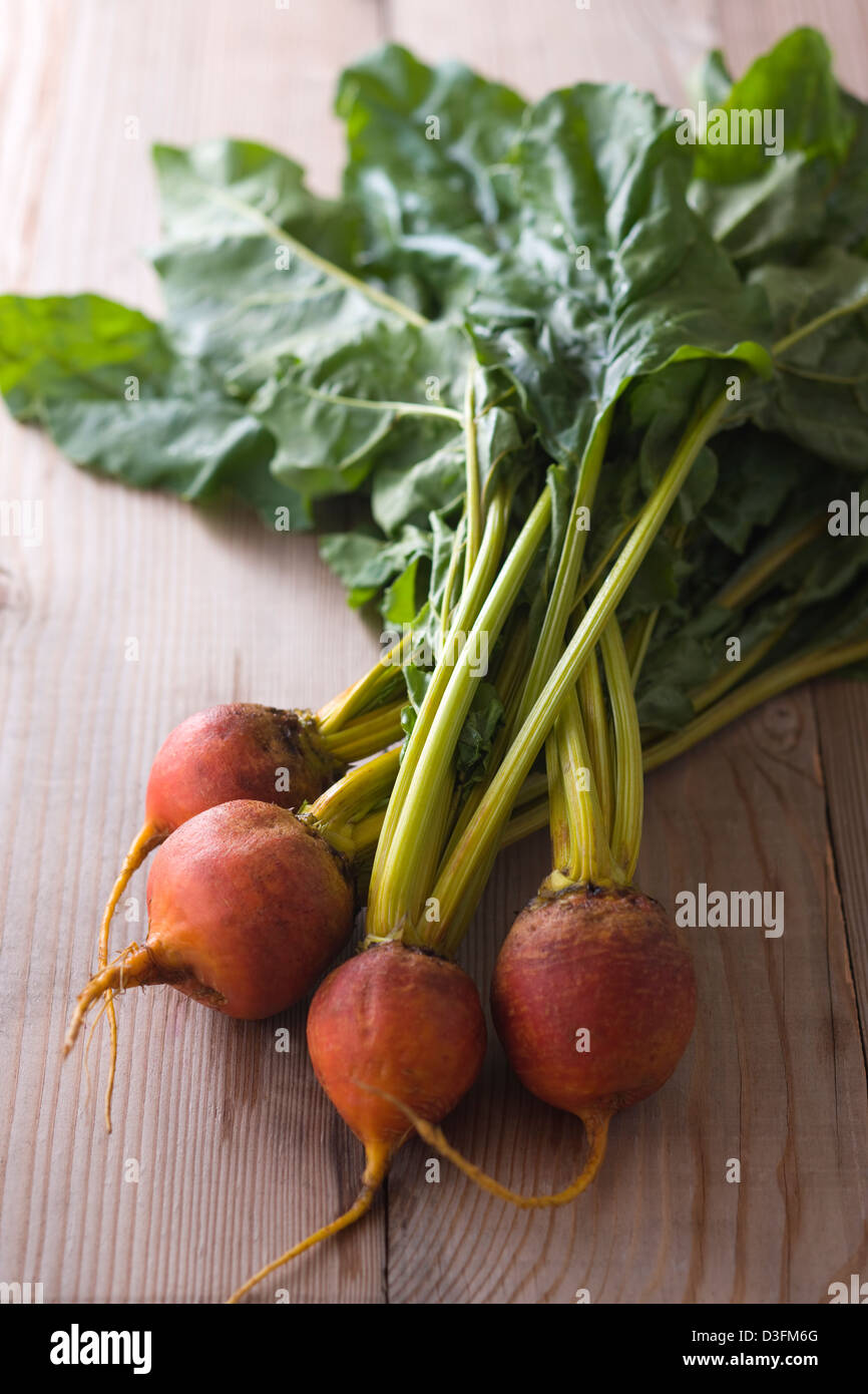 Golden beet hi-res stock photography and images - Alamy