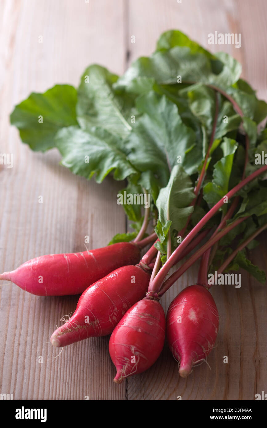 Red Daikon Radish Stock Photo - Alamy