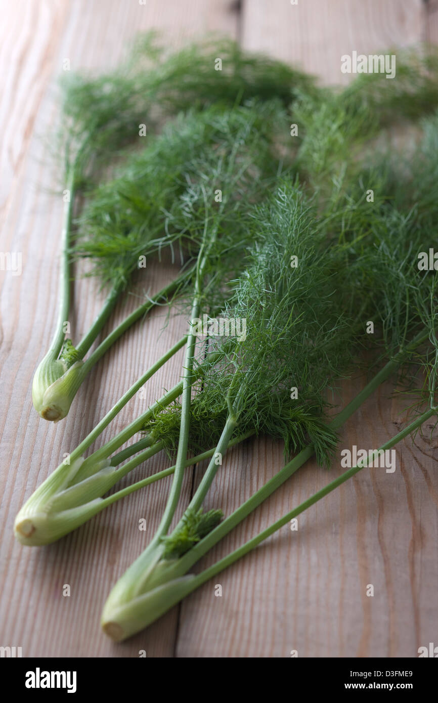 Food image of fennel herb hi-res stock photography and images - Alamy