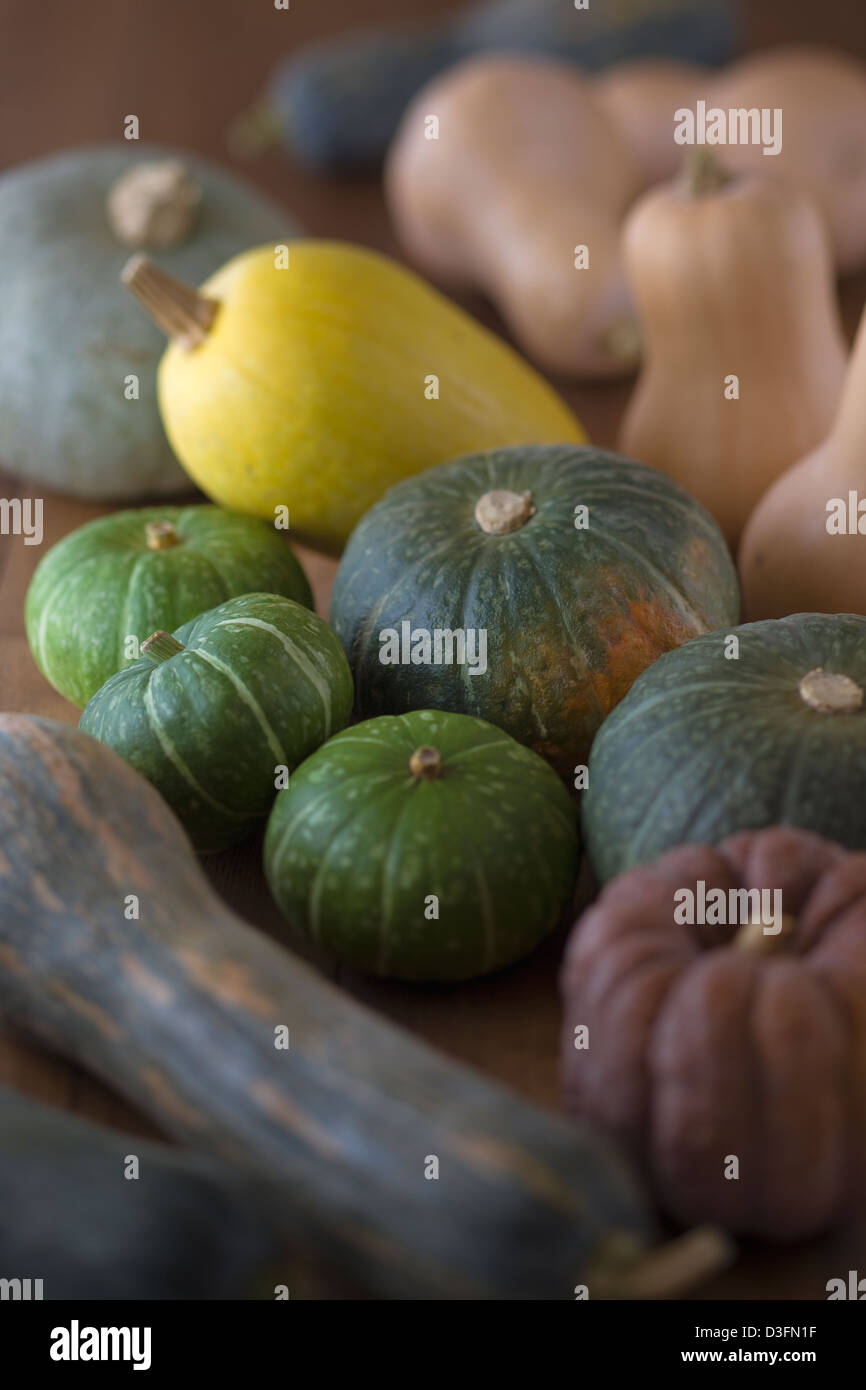 Assorted Multicolored Squash Stock Photo - Alamy