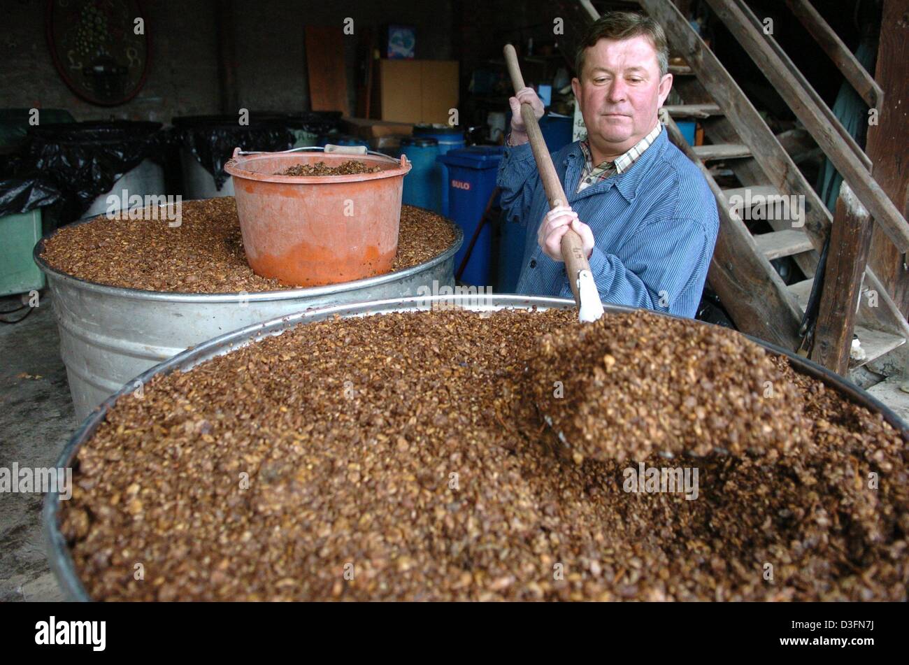 (dpa) - Schnaps maker Leopold Bohn shovels a load of mash for his ...