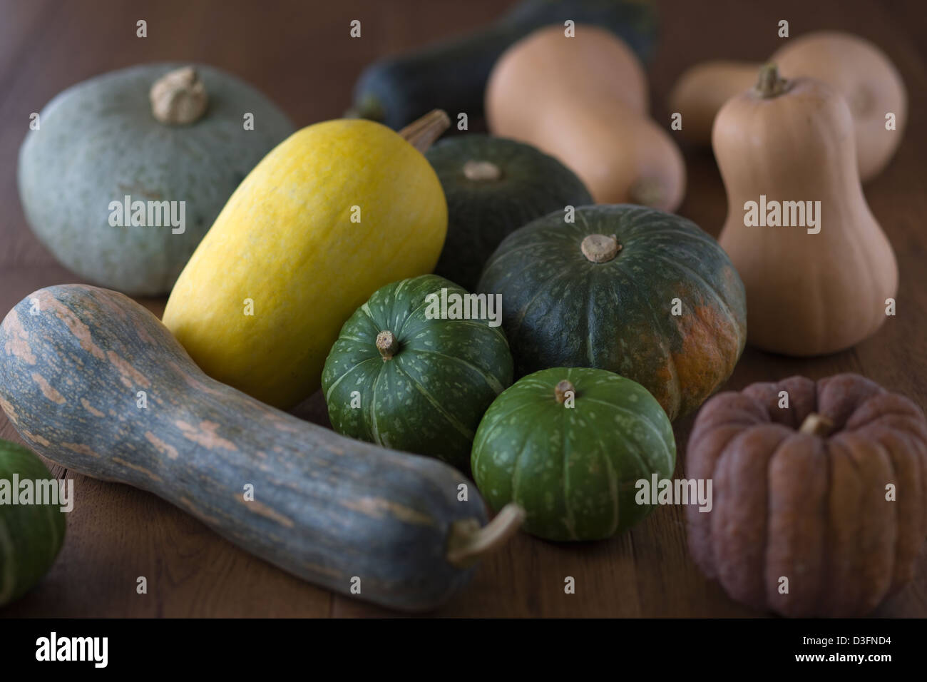 Assorted Multicolored Squash Stock Photo - Alamy
