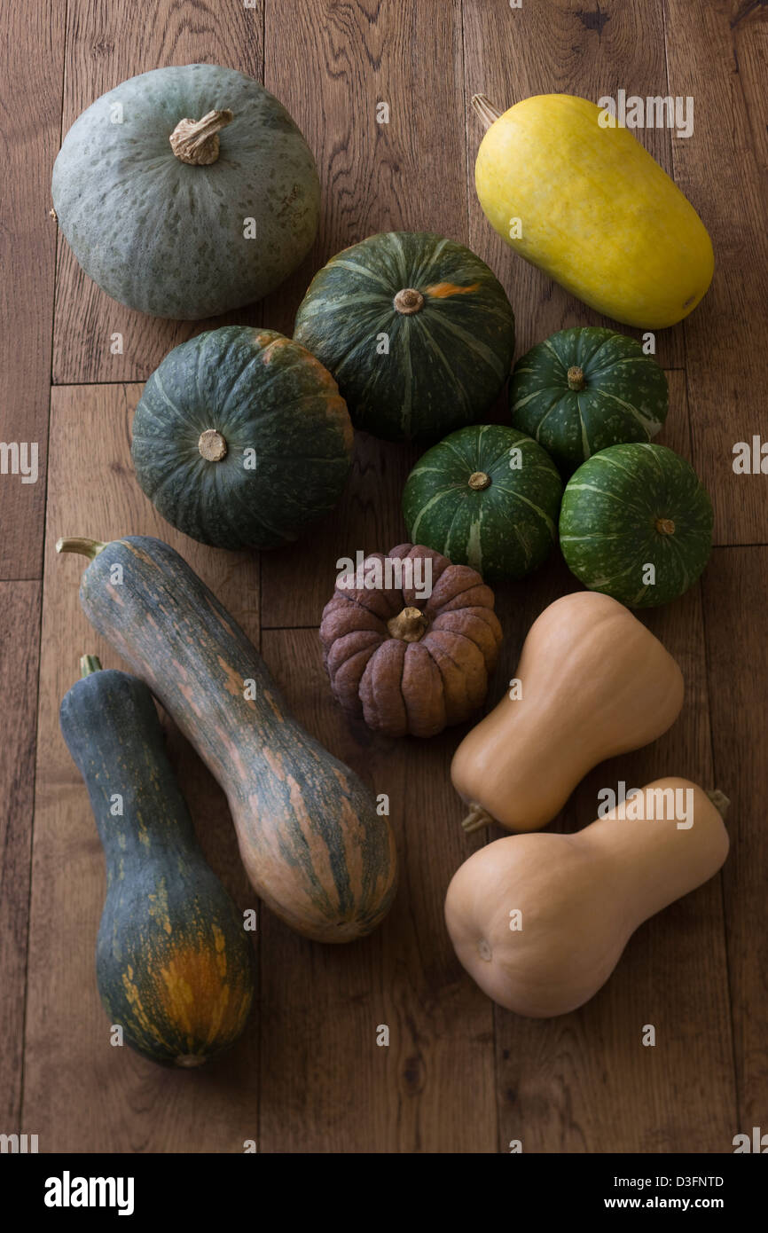 Assorted Multicolored Squash Stock Photo - Alamy