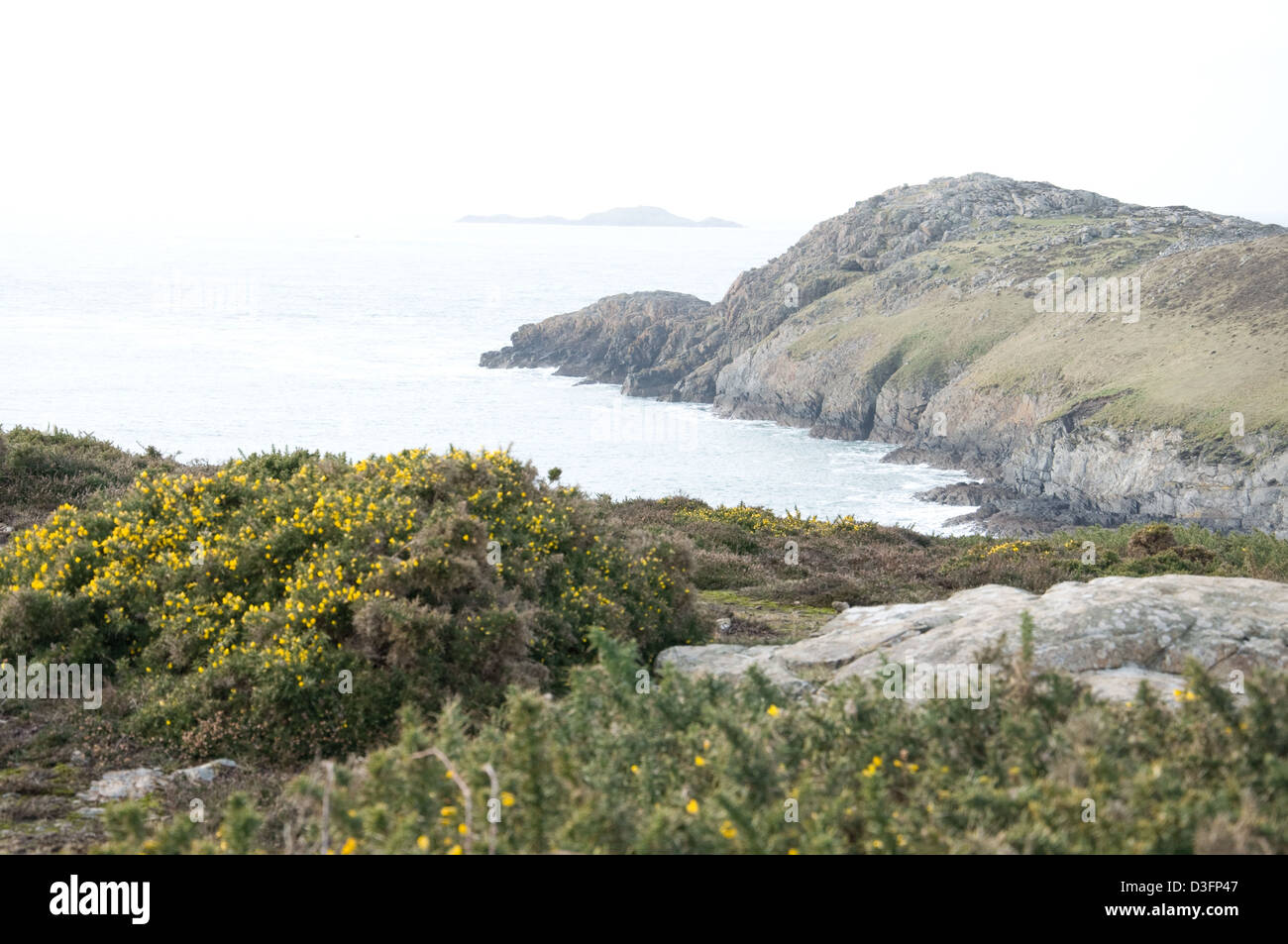 The Welsh Coastal Path near Whitesands in Pembrokeshire Stock Photo - Alamy
