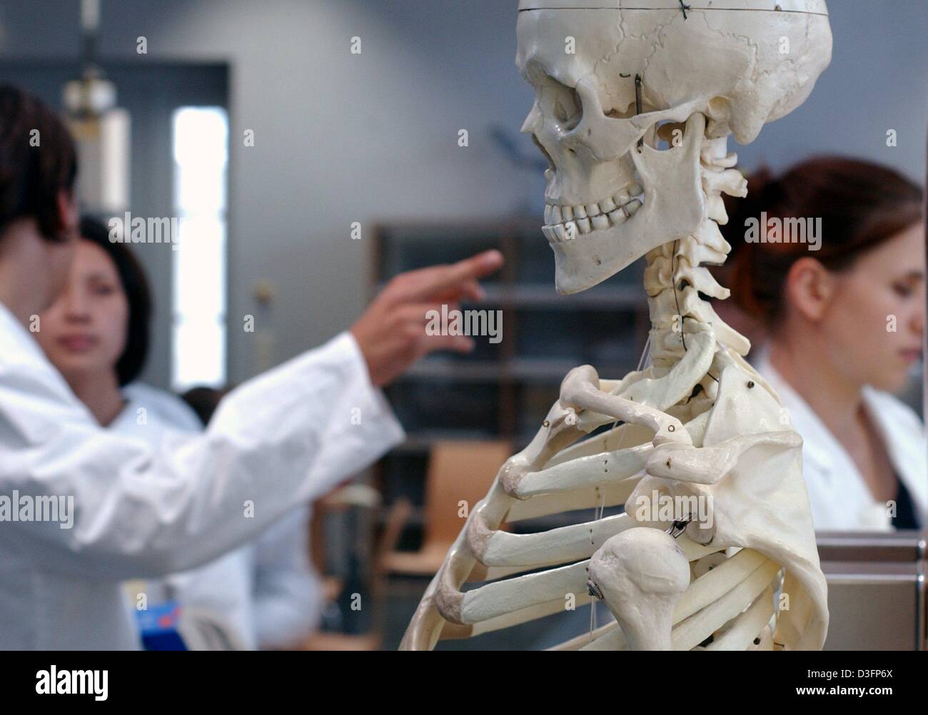 (dpa) - A skeleton is seen in the foreground while medical students ...