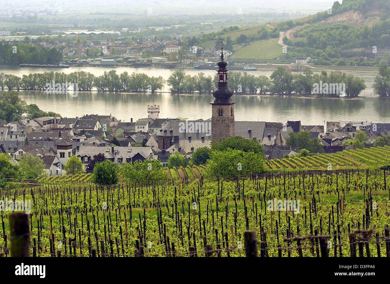 (dpa) - A panoramic view from the vineyards across the old town of ...