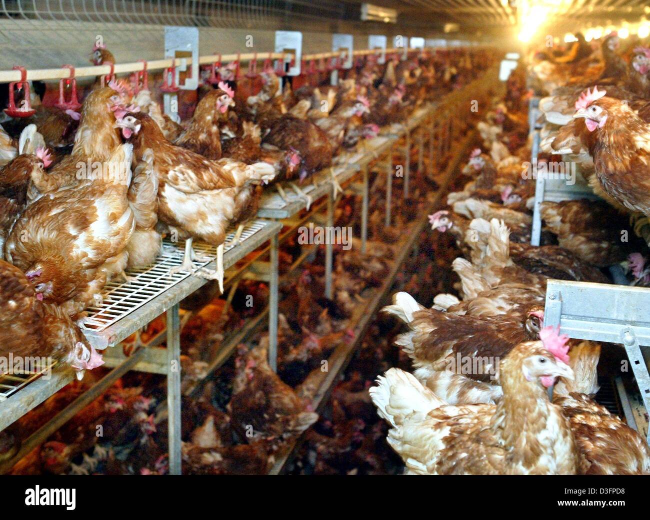 Influenza pest hi-res stock photography and images - Alamy