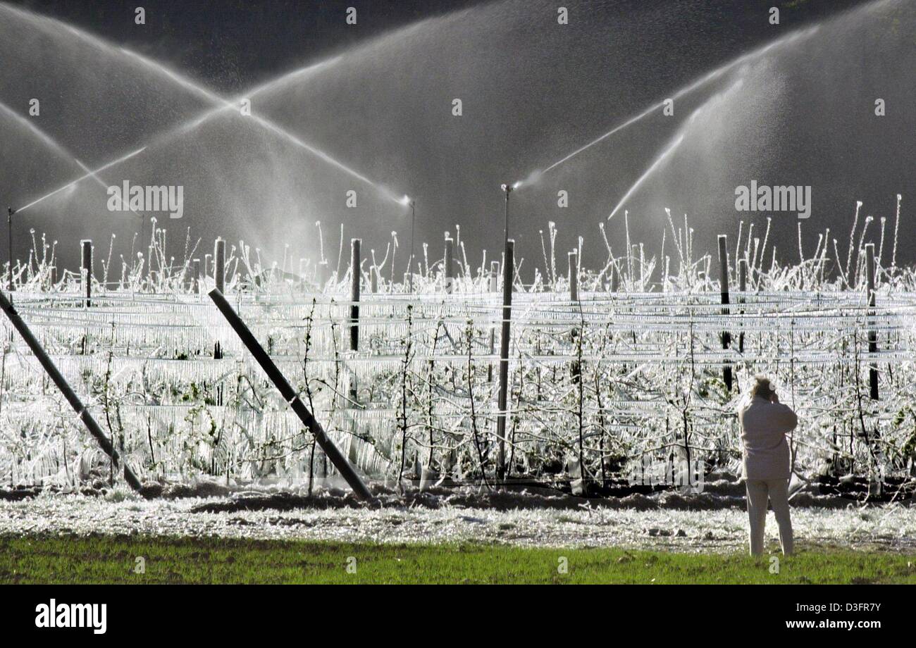 Farmers spraying the trees hi-res stock photography and images - Alamy