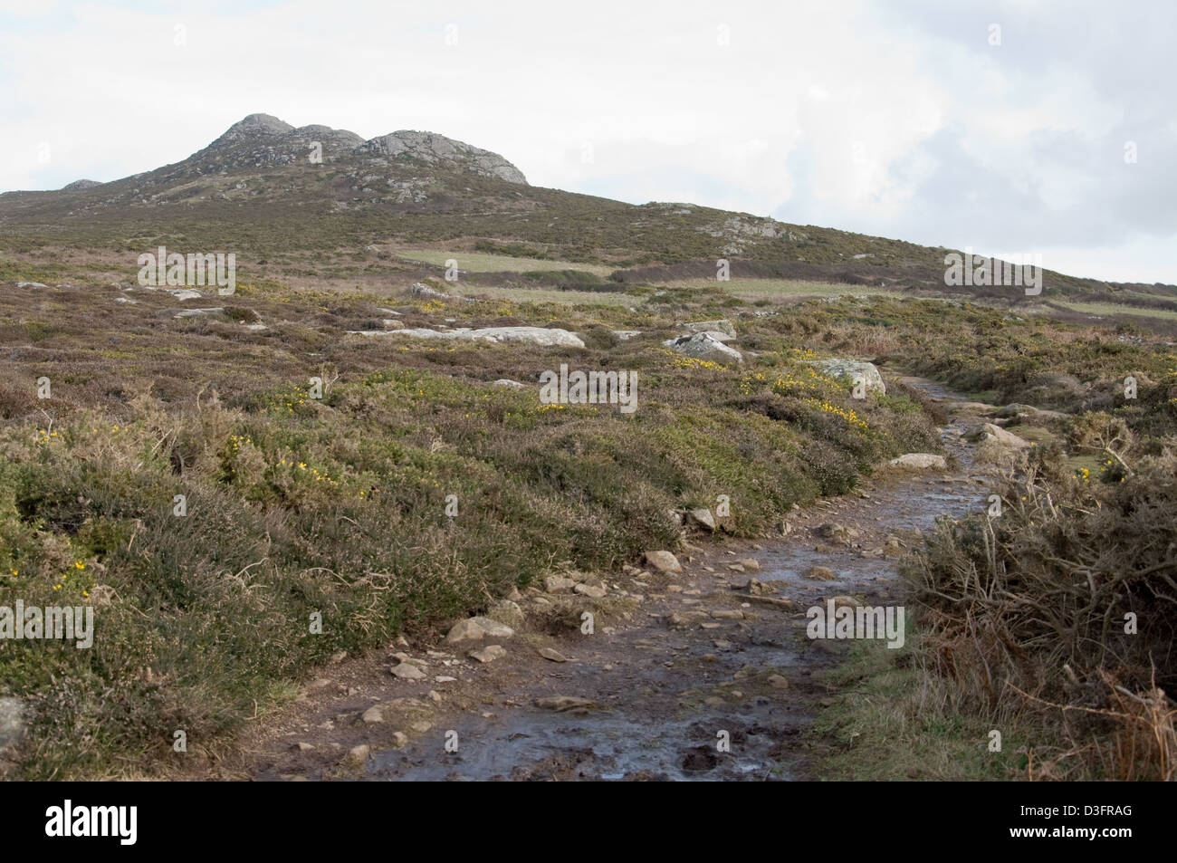 The Welsh Coastal Path near Whitesands in Pembrokeshire Stock Photo - Alamy