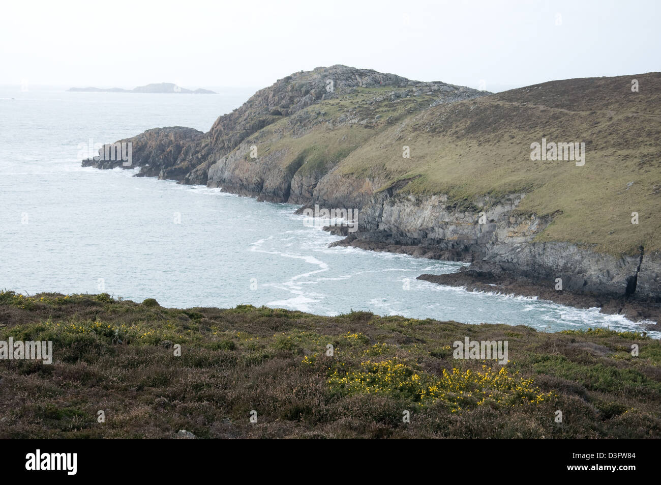 The Welsh Coastal Path near Whitesands in Pembrokeshire Stock Photo - Alamy