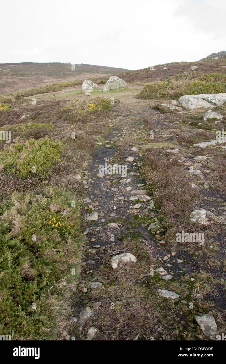 The Welsh Coastal Path near Whitesands in Pembrokeshire Stock Photo - Alamy
