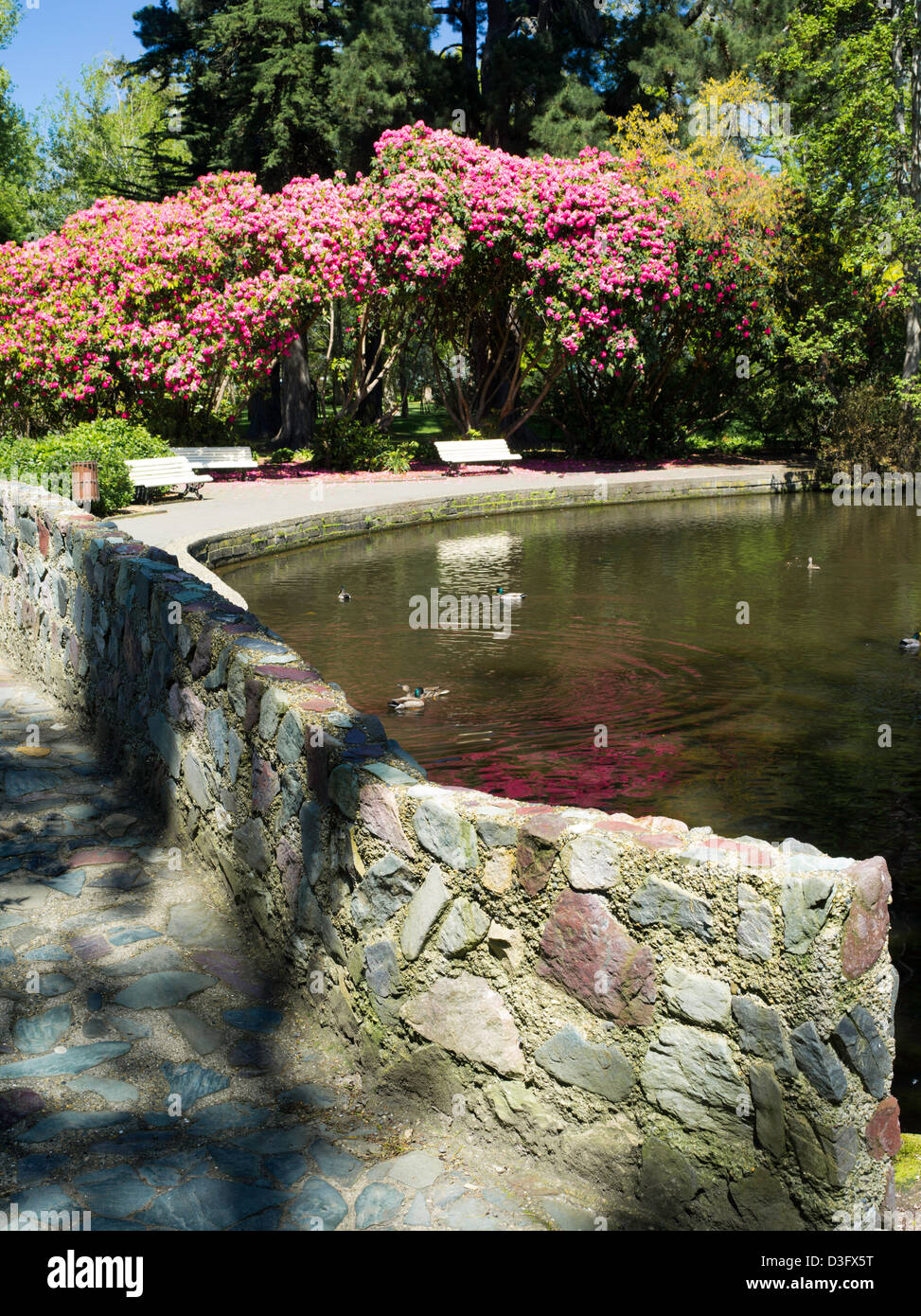 View of Queens Park, central Invercargill, New Zealand Stock Photo - Alamy