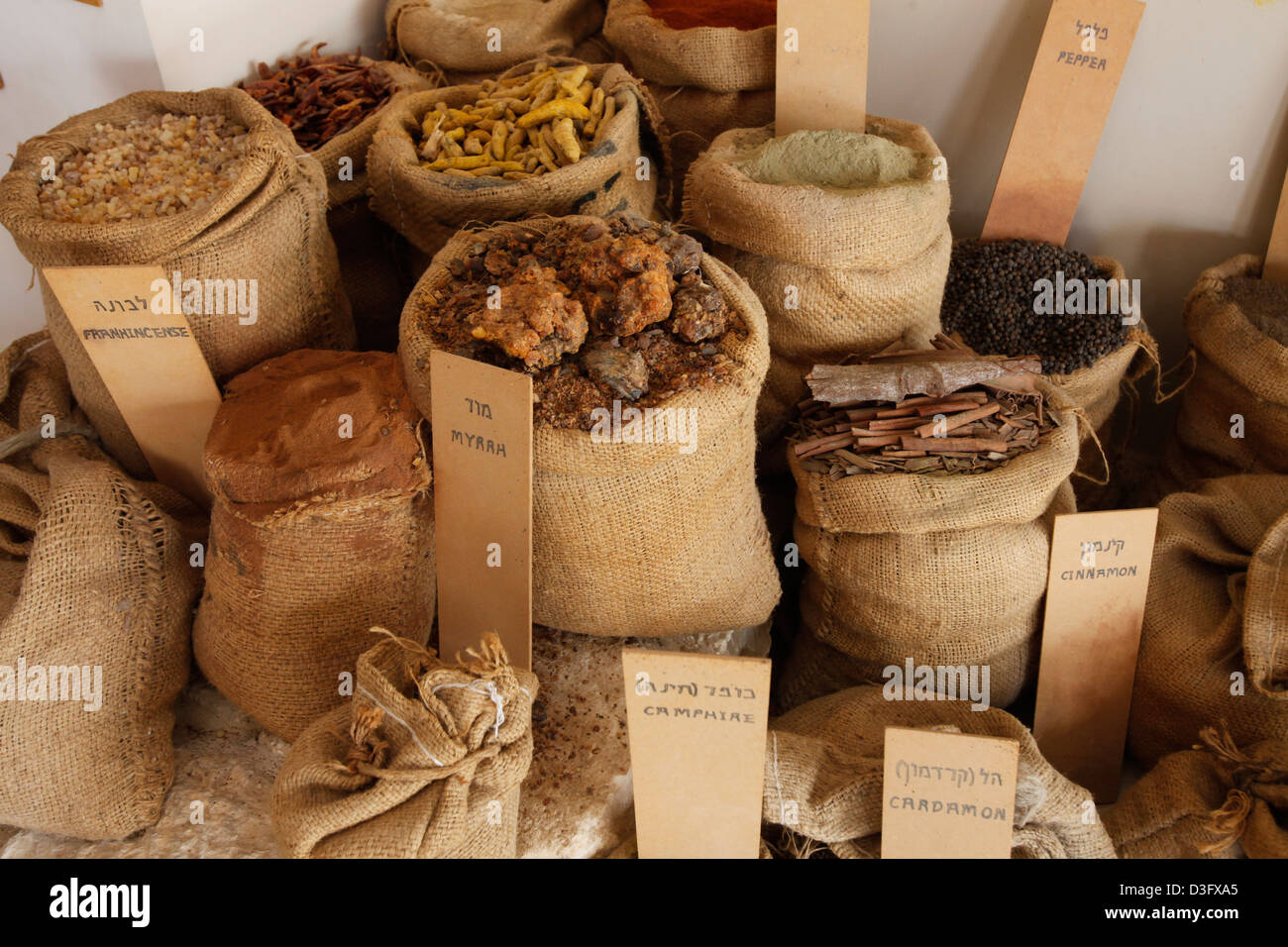Spices depicting traditional spices used during ancient Spice Route ...