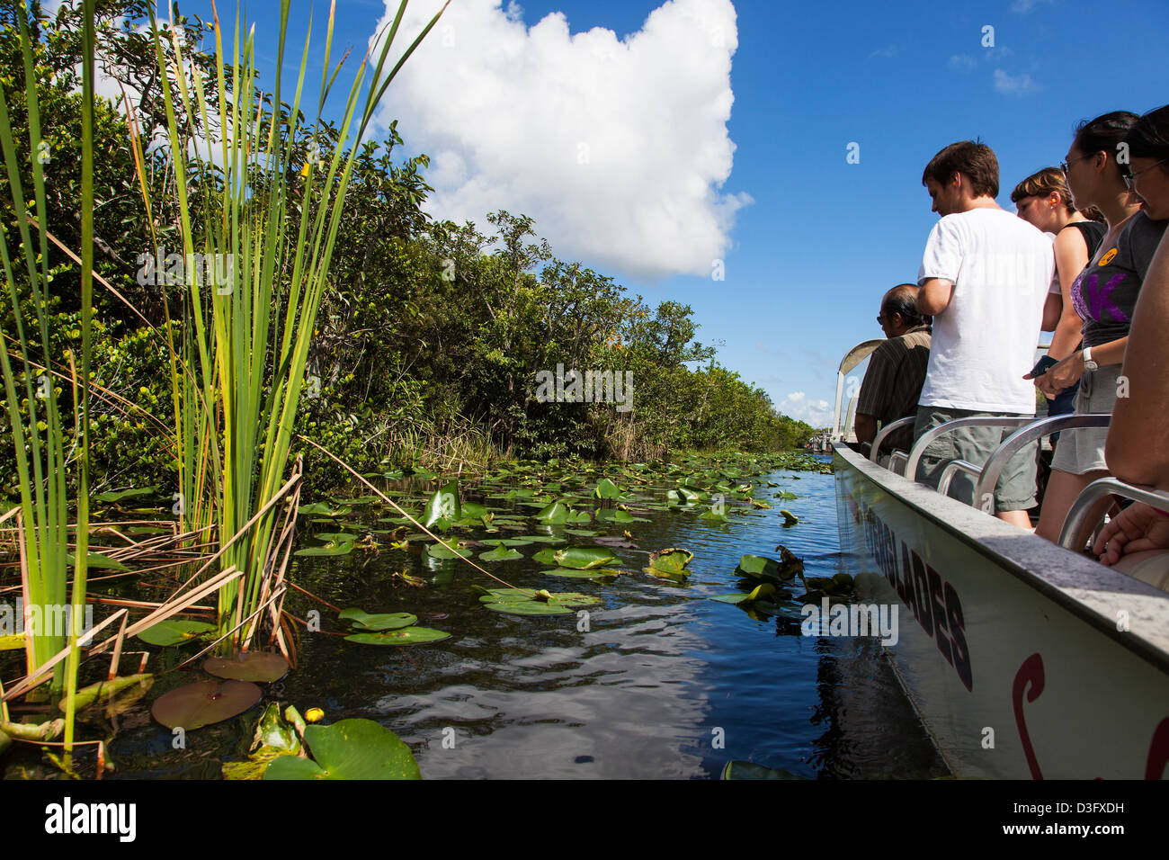Everglades airboat tour hi-res stock photography and images - Alamy