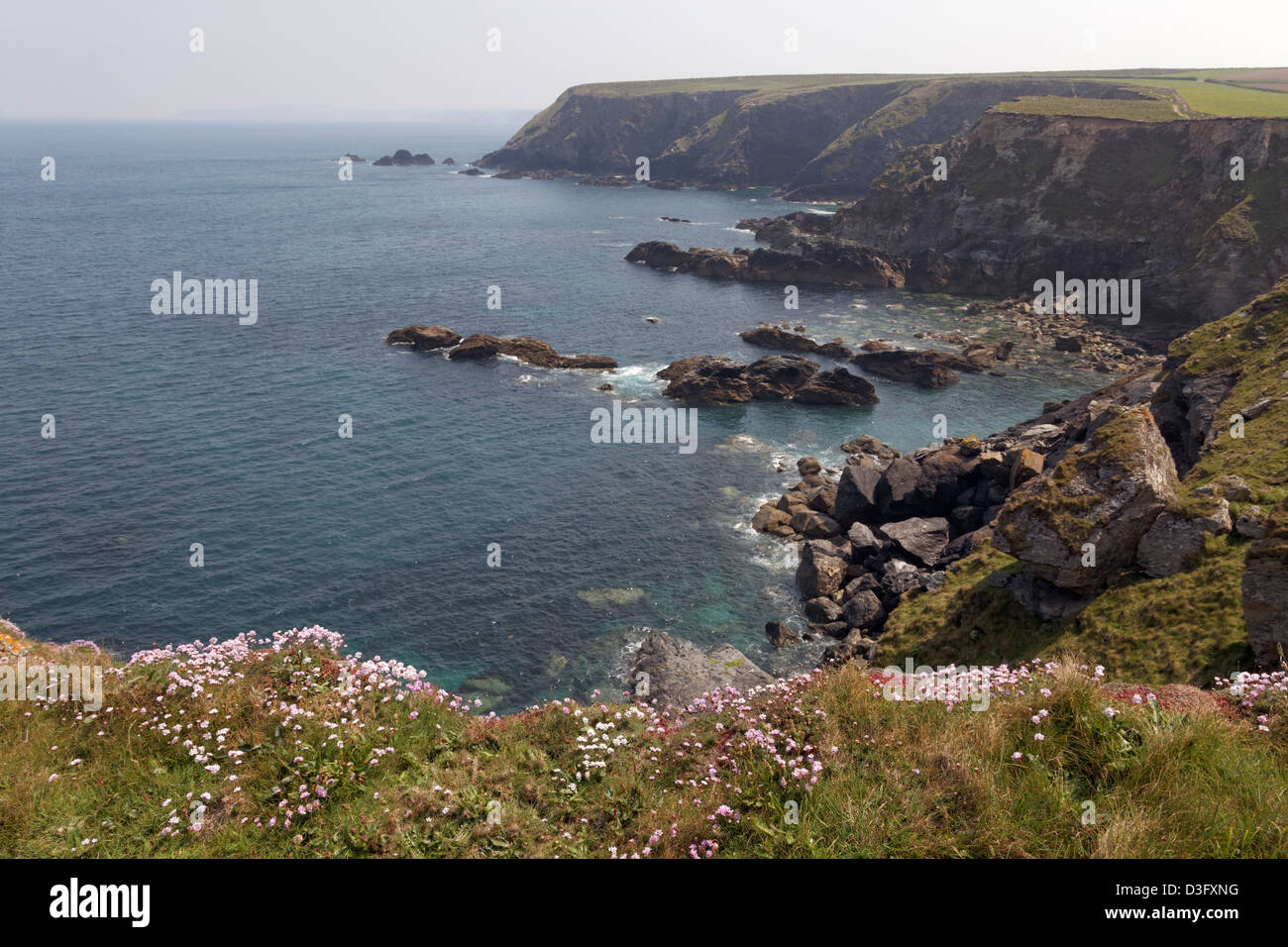 Cornish heathland hi-res stock photography and images - Alamy