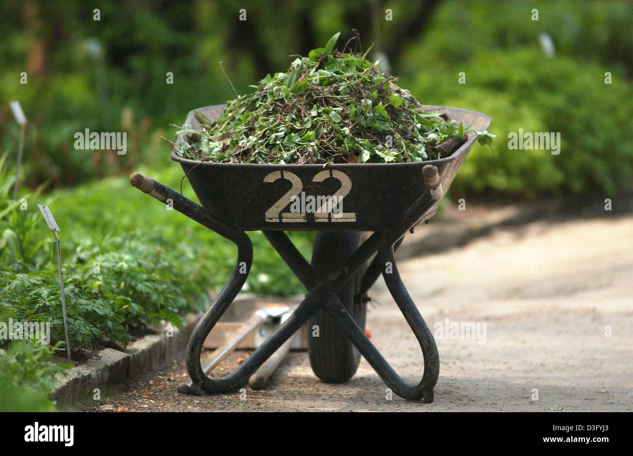 Human interest hum nature leisure 22 barrow wheelbarrow path plants ...