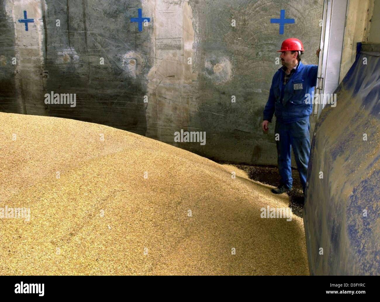 Contaminated grain hi-res stock photography and images - Alamy