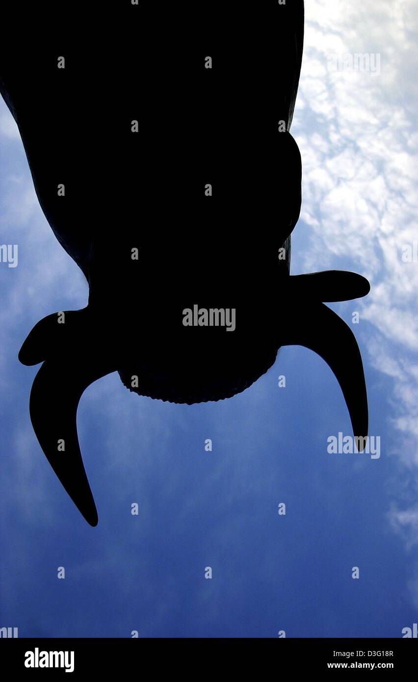 Stock market silhouette hi-res stock photography and images - Alamy
