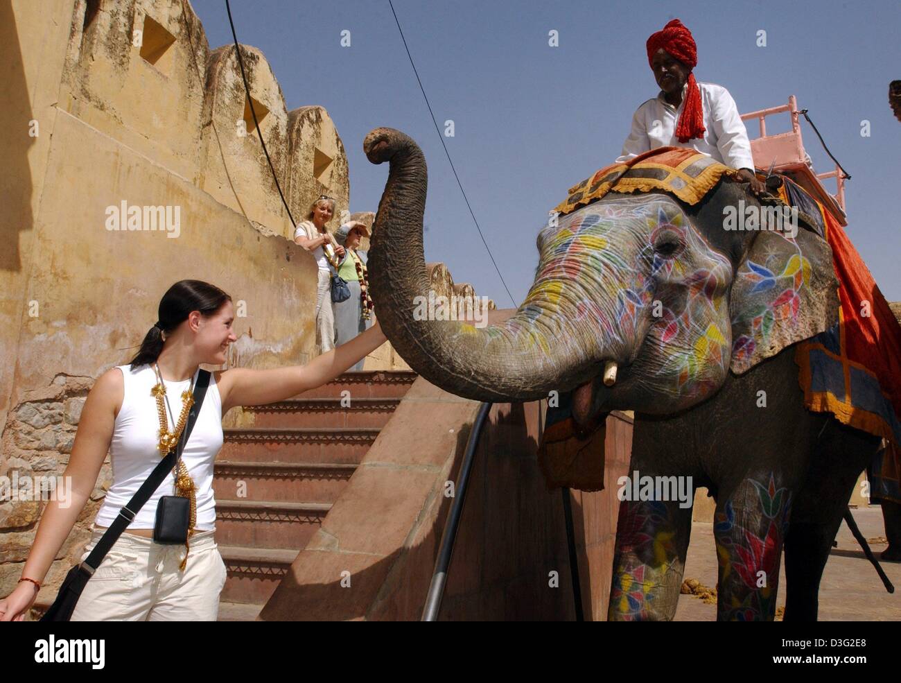 (dpa) - Anna Rau, daughter of the German president, strokes an elephant ...