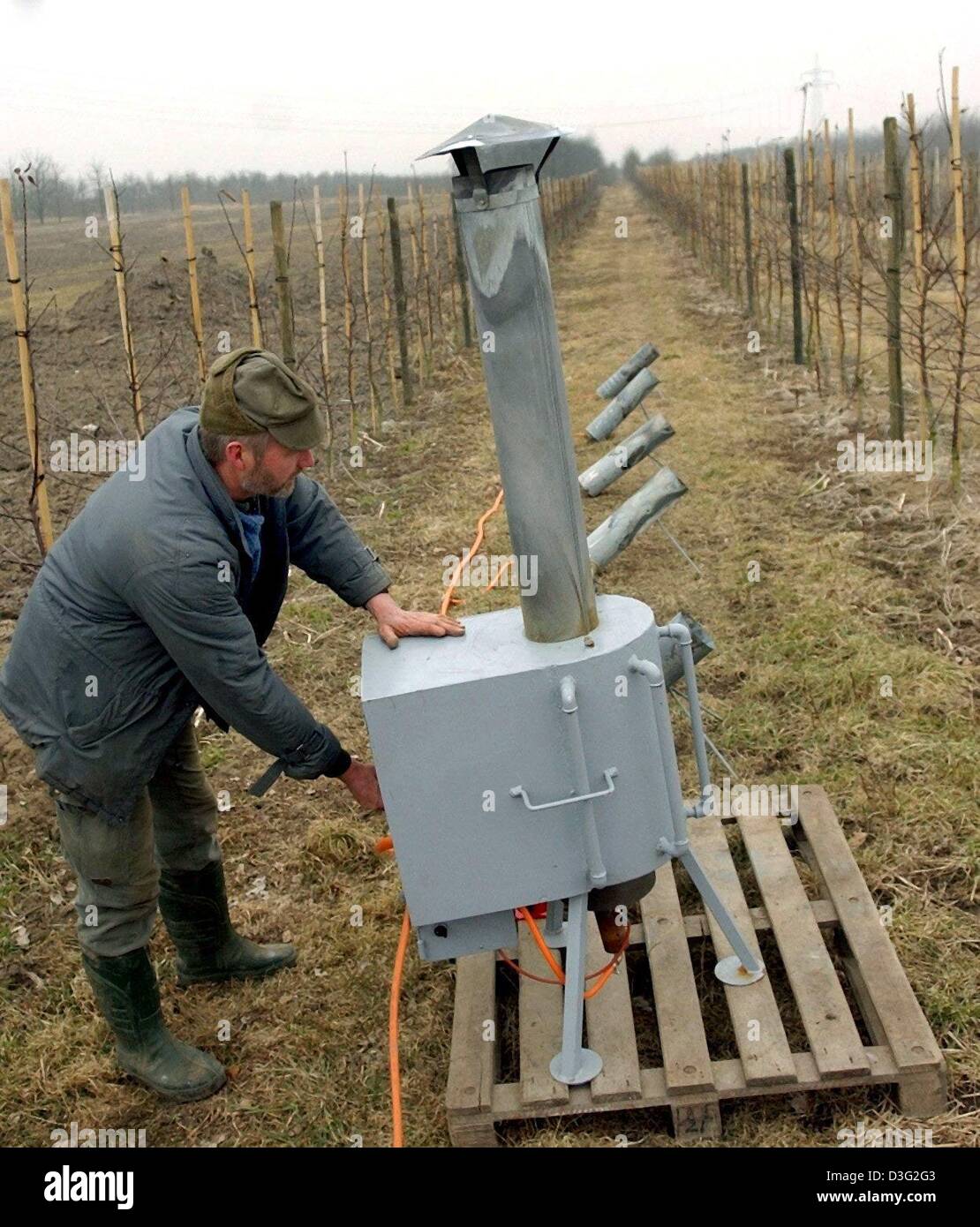 (dpa) - Farmer Peter zum Felde lights the gas heating for the ground of ...