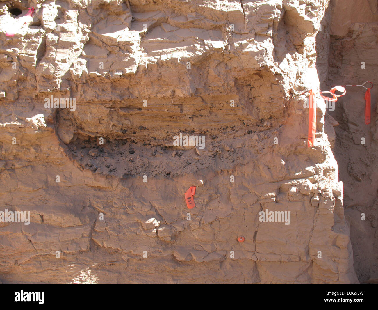 Grand canyon excavation hi-res stock photography and images - Alamy