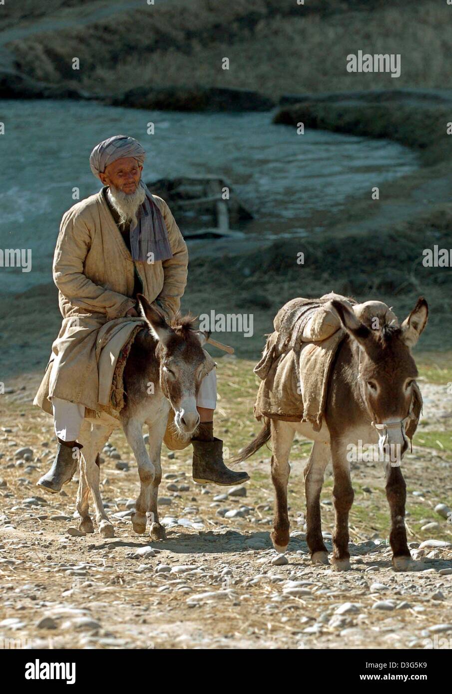 (dpa) - An Afghan farmer rides a mule to deliver corn to a market in ...