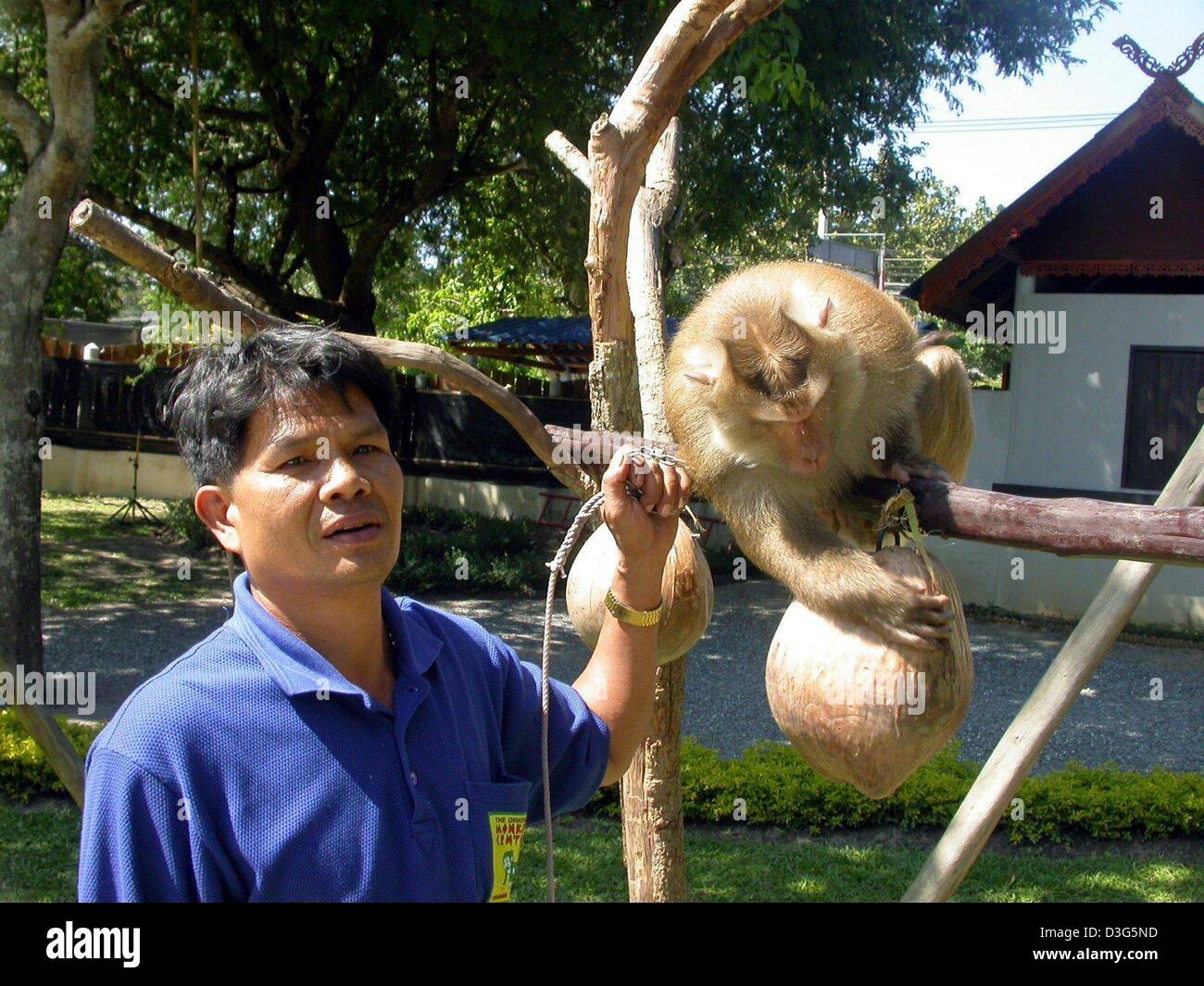 (dpa) - Monkey trainer Mui Chungdang poses next to his egret monkey ...