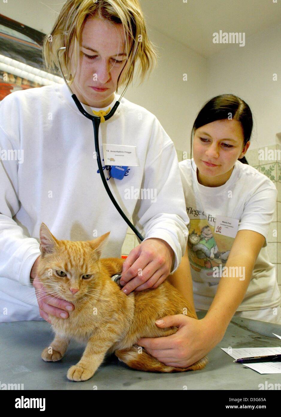 (dpa) - Assistant veterinarian Anne Kathrin Fluegge and trainee Melanie ...